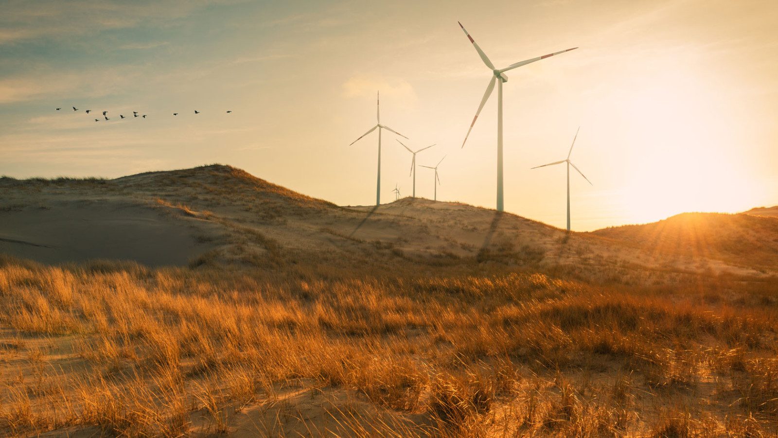 AGA-Portal: Exportkreditgarantien & UFK-Garantien des Bundes